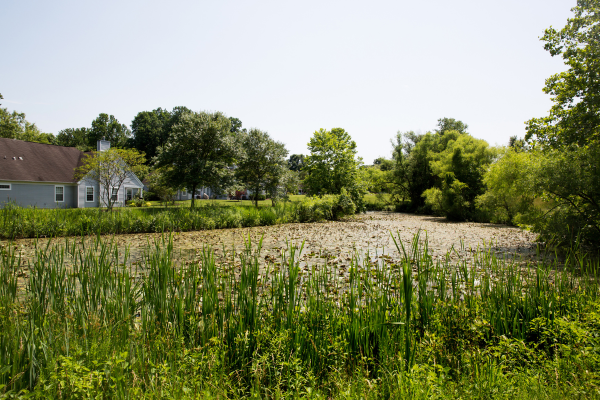 Collington Grows Greener with New Horticulturist
